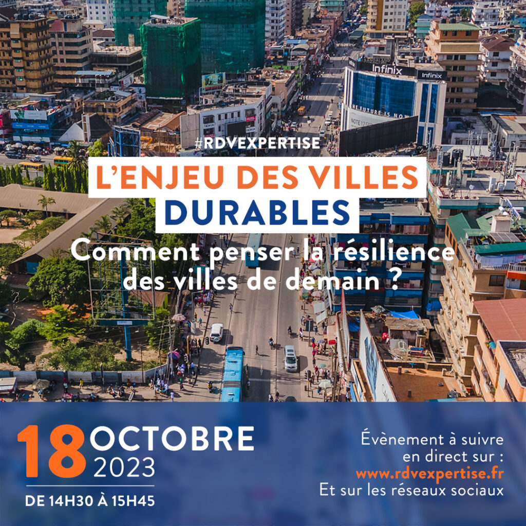 L’enjeu des villes durables : comment penser la résilience des villes ...